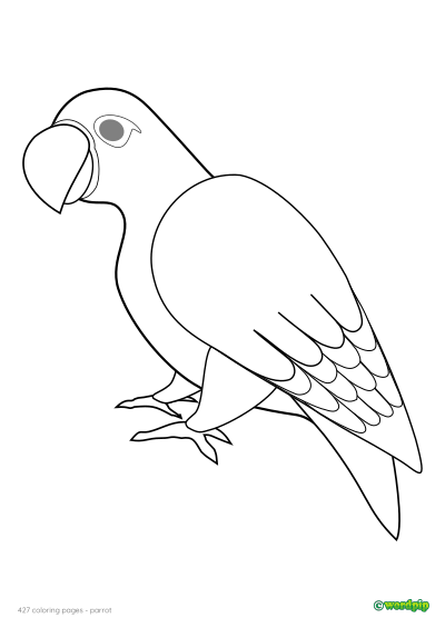 Coloring Pages - parrot