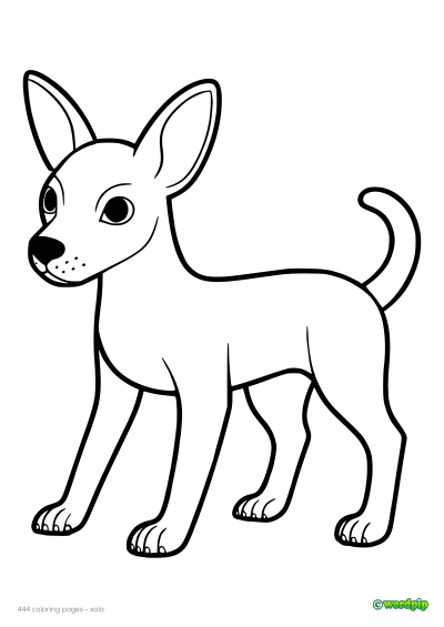 Coloring Pages - xolo
