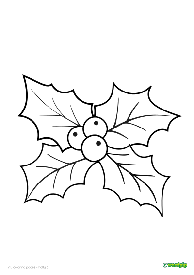 Holiday Holly Coloring Pages - Free Printable Christmas Designs | Wordpip