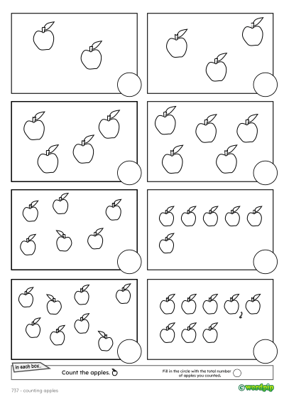 Mathematics and Numeracy
