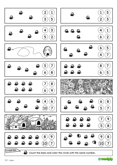 Mathematics and Numeracy