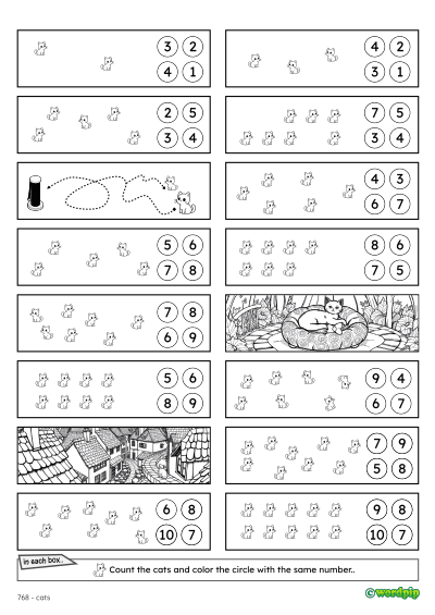 Mathematics and Numeracy