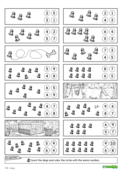 Mathematics and Numeracy