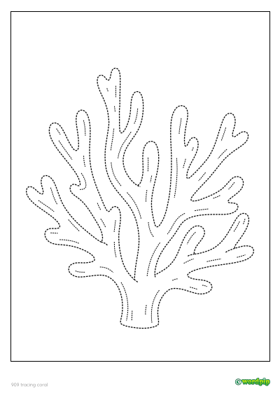 Tracing Activities: Developing Fine Motor Skills Creatively