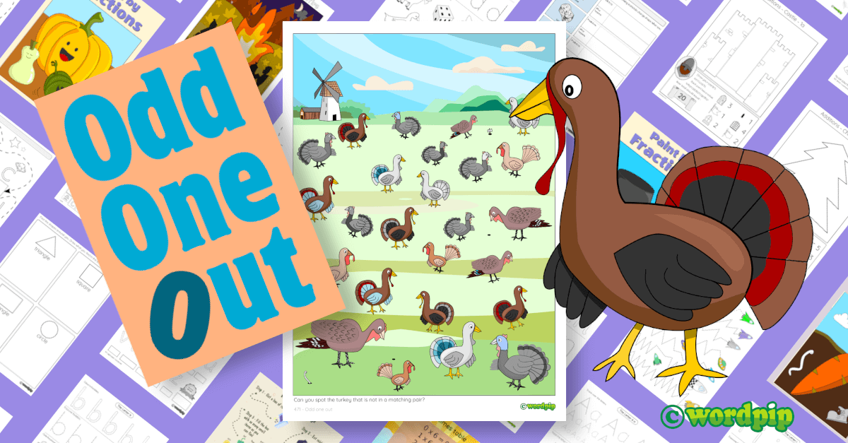 Odd One Out - Turkey