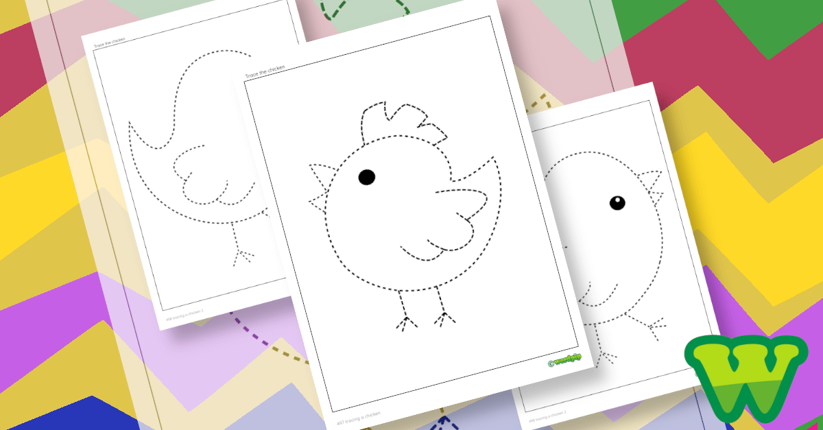 Tracing chicken